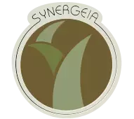 Team - Synergeia