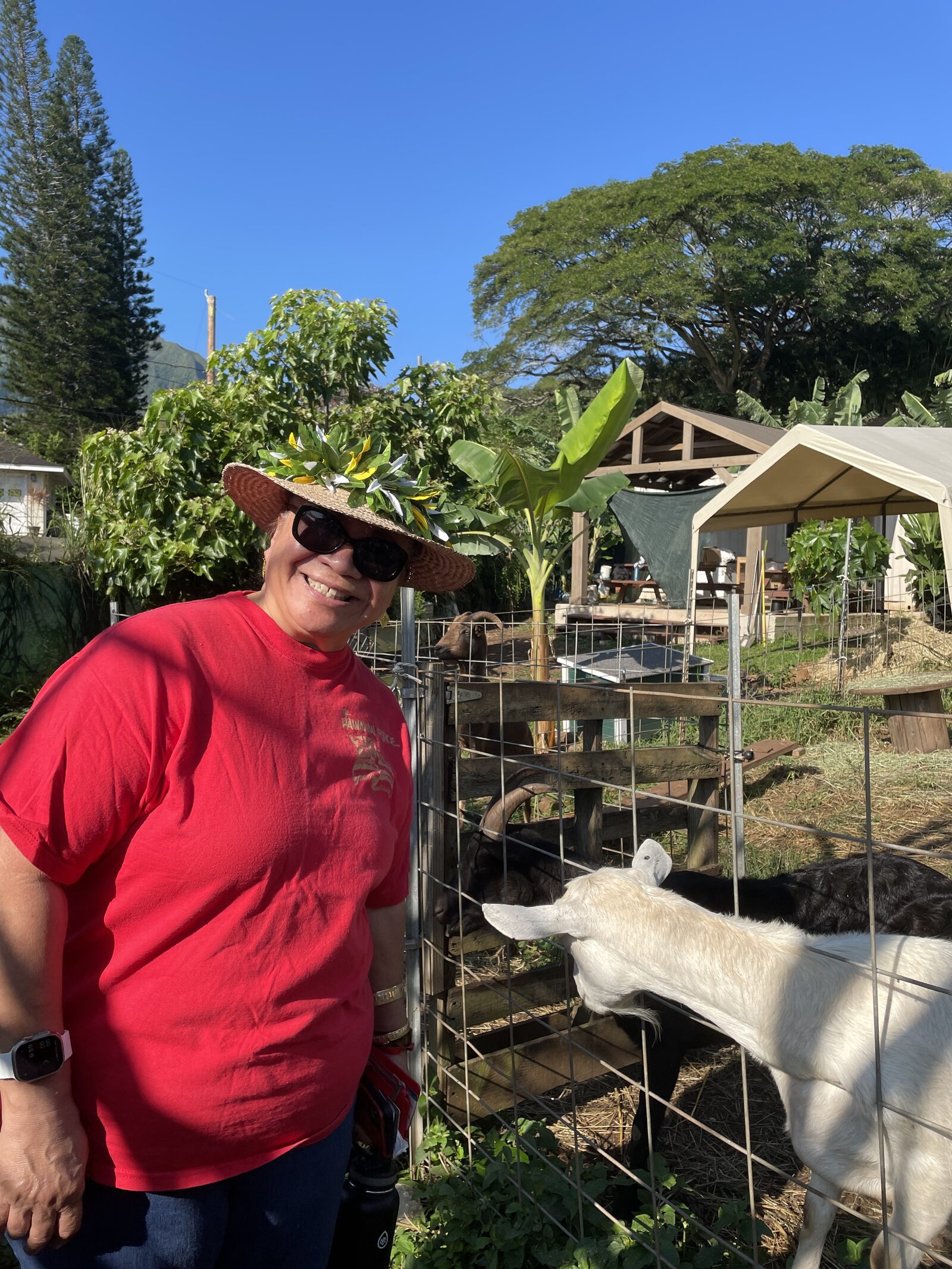 Kupuna Program at KEY Project - KEY Project