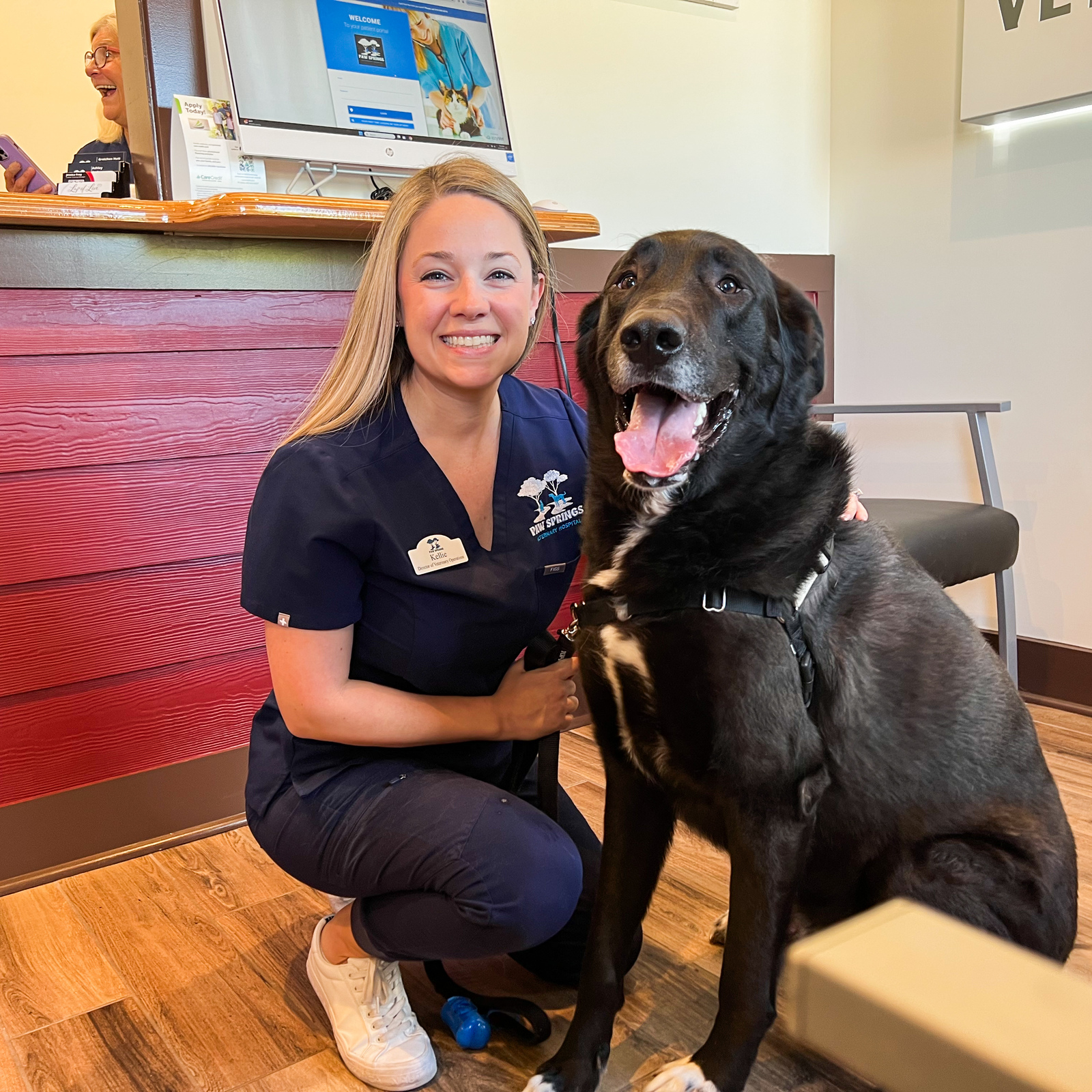 Make An Appointment - Paw Springs Veterinary Hospital