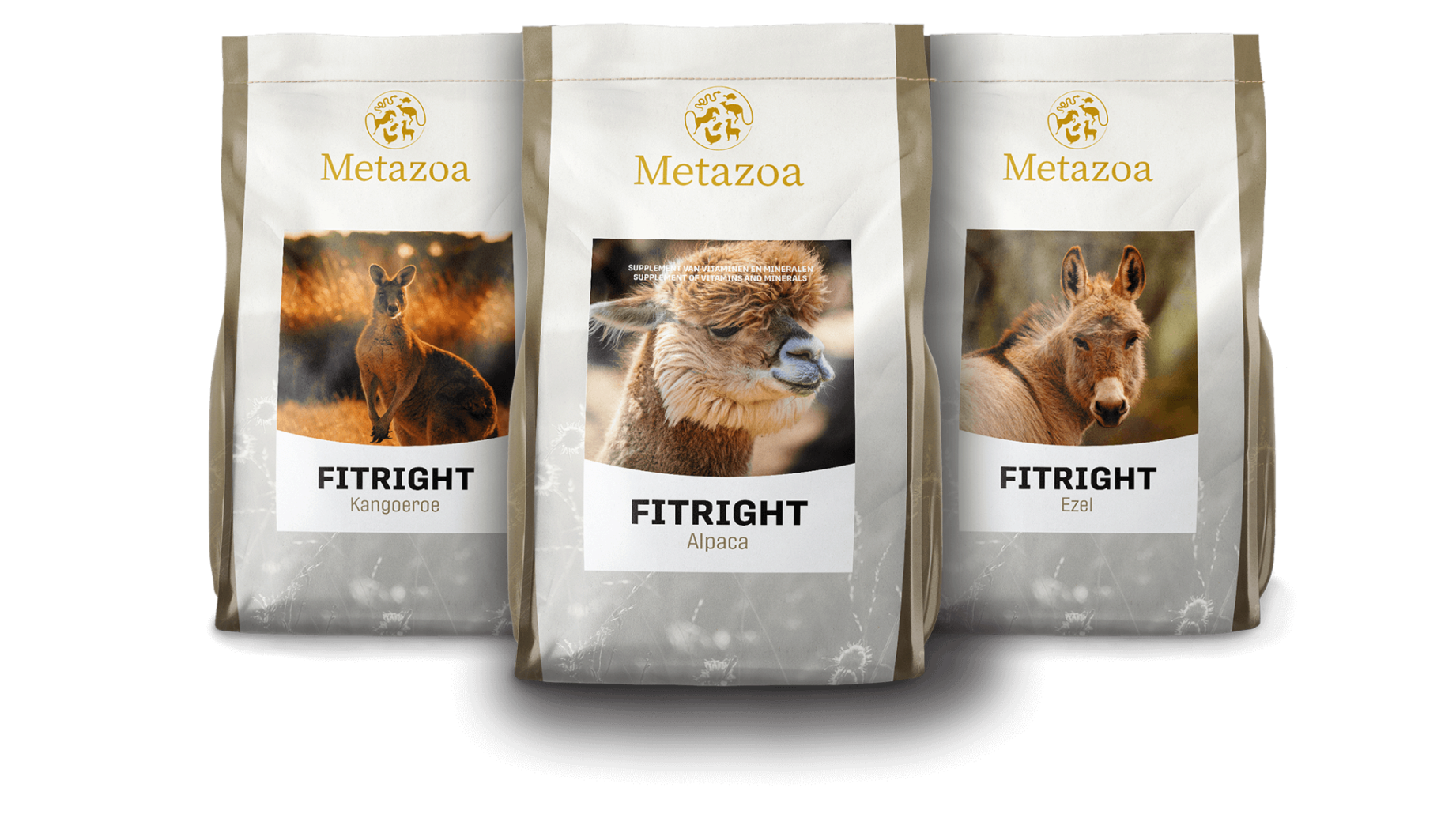 Home | Metazoa