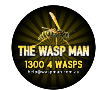 Wasp Identification in Australia | WaspMan Identification Kit - The ...