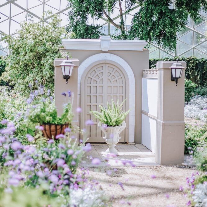 Dream Garden - We Design Your Dream Garden