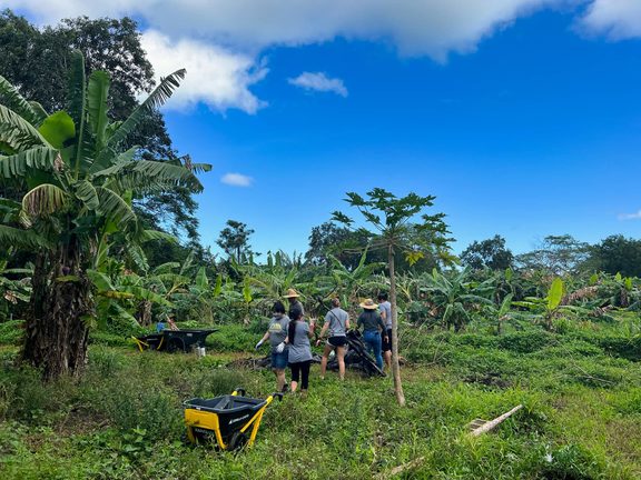 About KEY Project - KEY Project