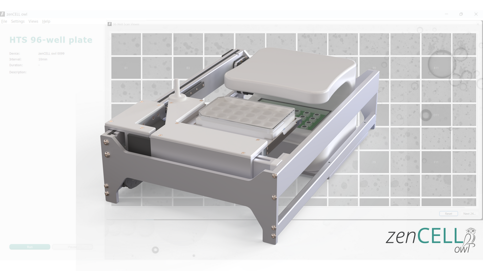 High-Throughput Live-Cell Imaging for 96 & 384 Well Plates